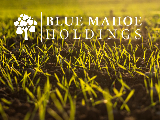 Blue Mahoe Capital | Build Affordable Houses in Jamaica